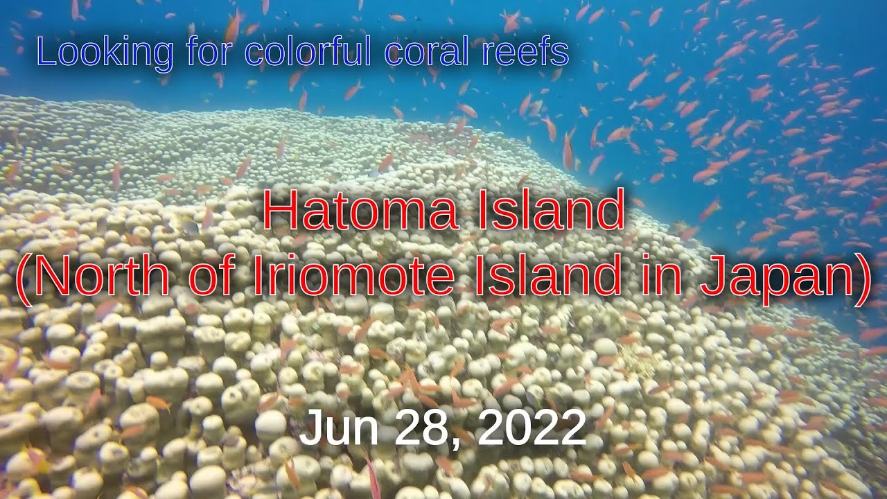 Hatoma island (north of Iriomote island) colorful coral reefs for ...