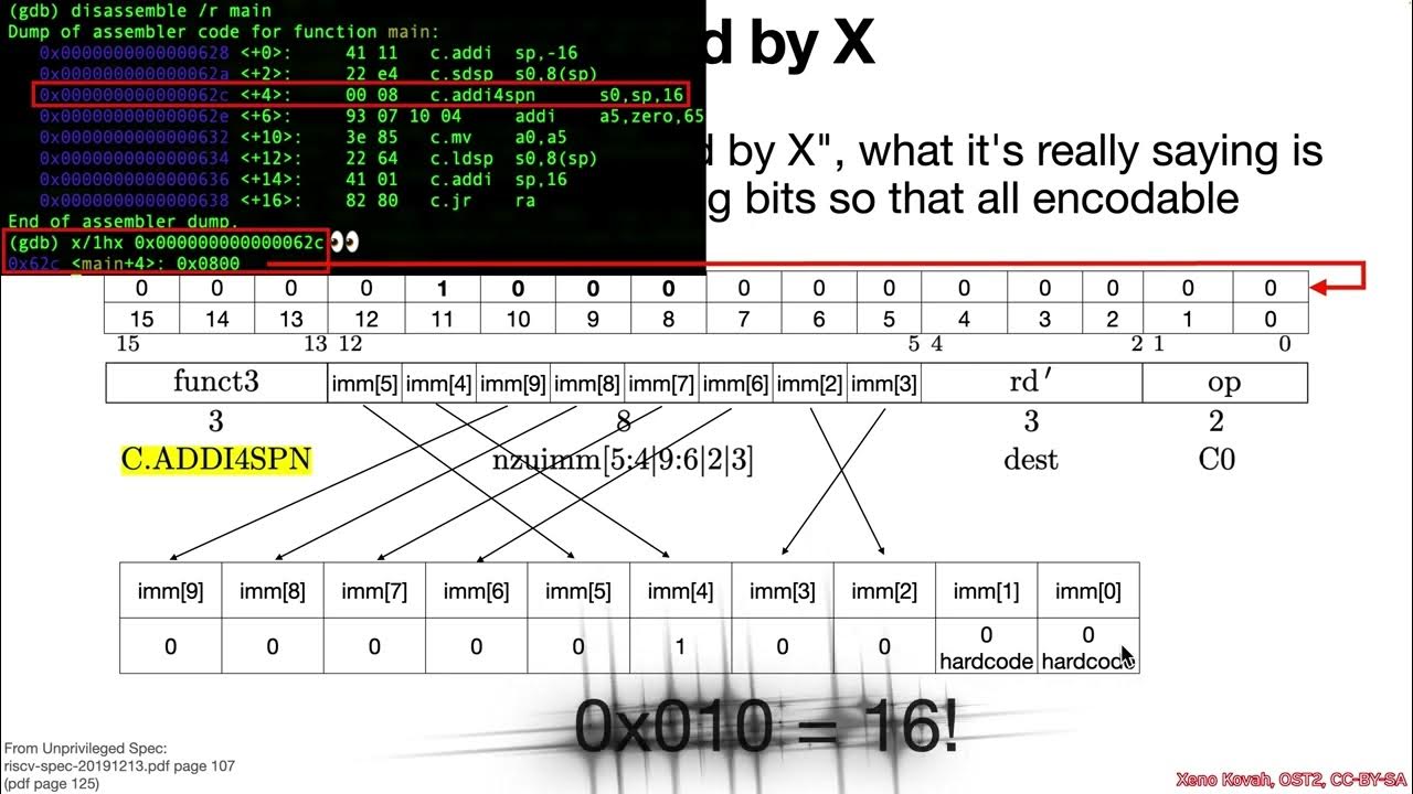 Arch1005: RISC-V Assembly 03 06 JustReturn (-O0) Compression Digression 2 - YouTube