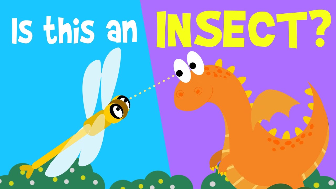 I Love Insects! | Insect Song For Kids | Wormhole English - YouTube
