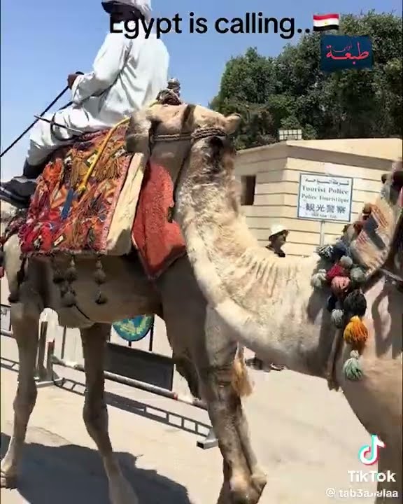 Egypt is calling... - YouTube