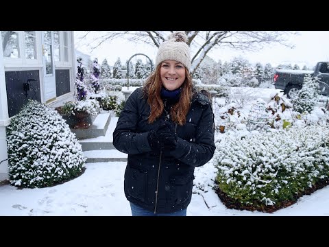 Snow Day Garden Tour! ❄️💚 // Garden Answer