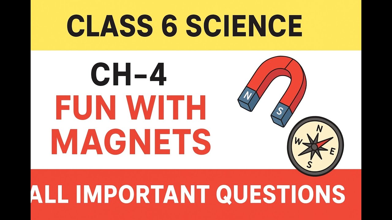 Class 6 Science | Ch- 4 | Important Questions & Answers NCERT Exam Prep ...