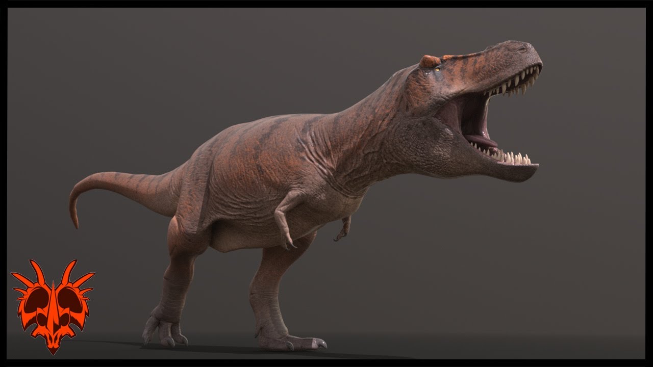 PATH OF TITANS #FR | INFORMATION SUR LE FUTUR DE PRIMORDIAL TYRANTS | NEW T-REX !! 😍😍 - YouTube