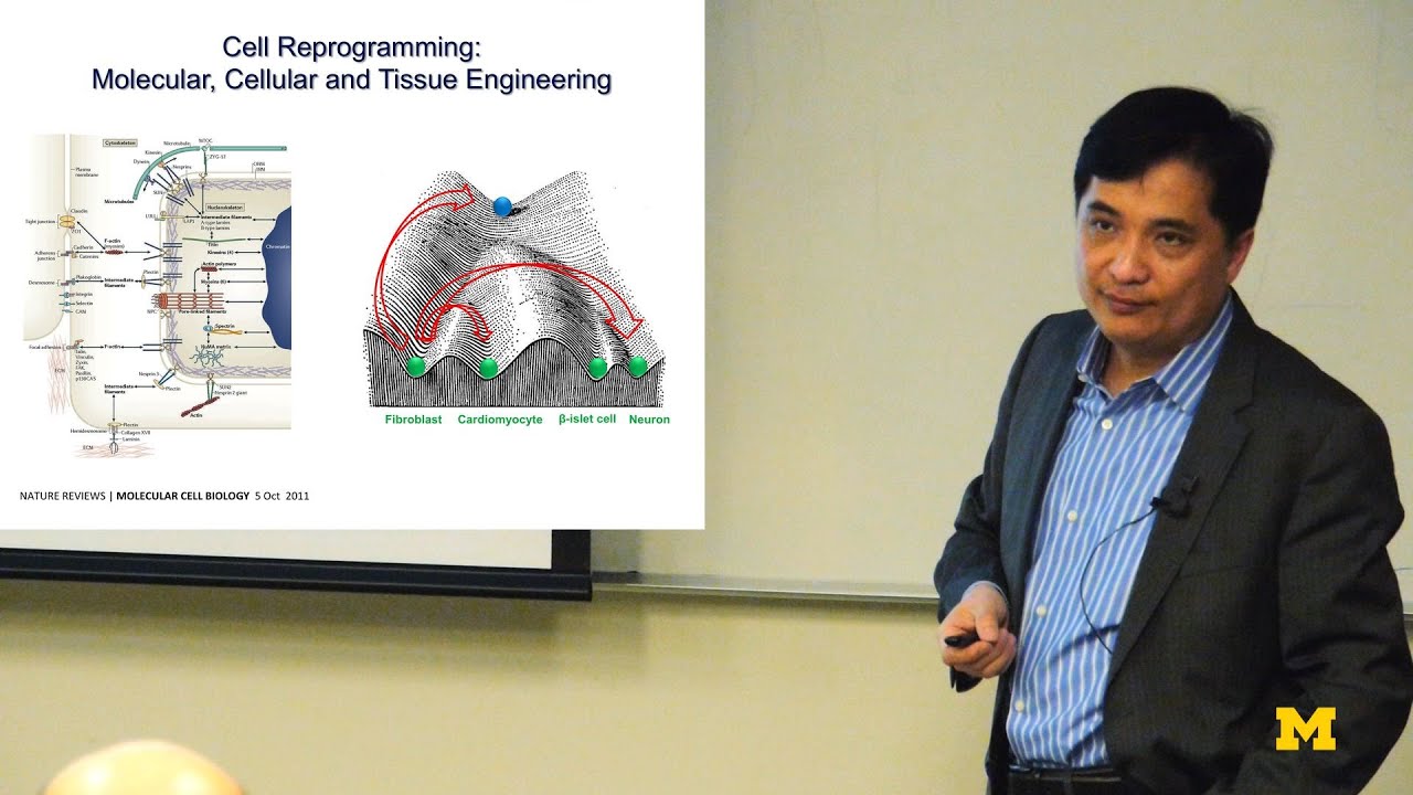 Song Li | Engineering Stem Cells - YouTube