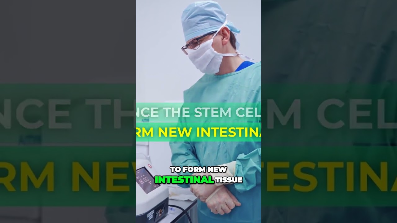 Unlocking the Secrets of Tissue Regeneration: The Power of Fasting - Go IT Unlocking the Secrets of Tissue Regeneration: The Power of Fasting - Go IT