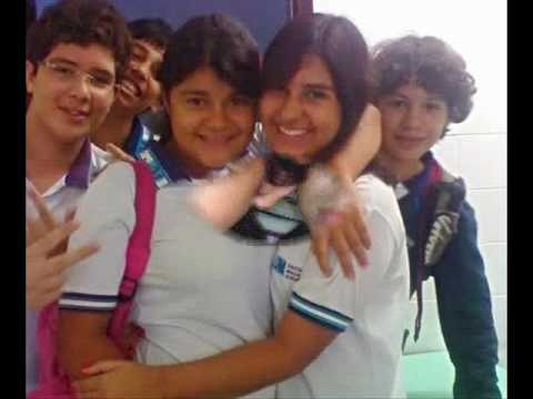 oitavo ano B 2010 -CSMS