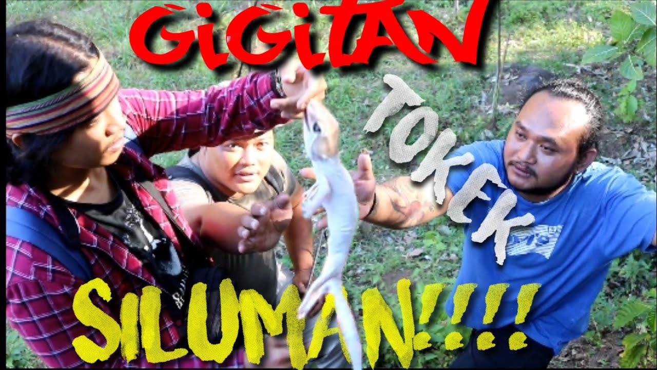 SILUMAN TOKEK GUNUNG WILIS - YouTube