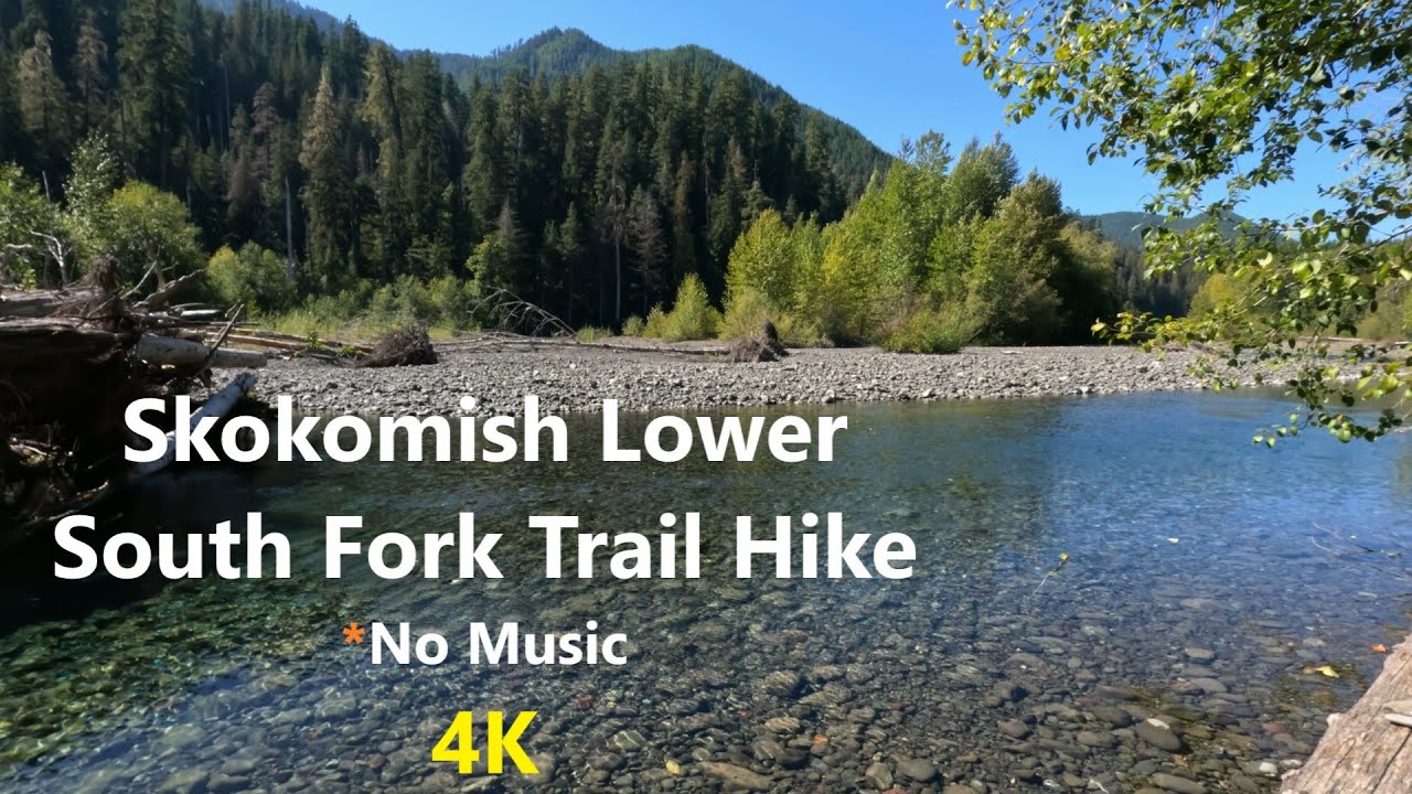 Skokomish Lower South Fork Trail - Olympic National Forest - 4K - YouTube
