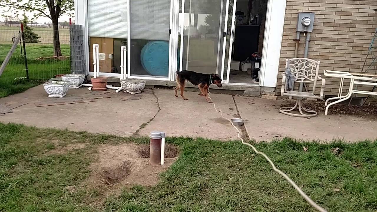 Michael, second morning 3 - inspecting the training teeter - YouTube