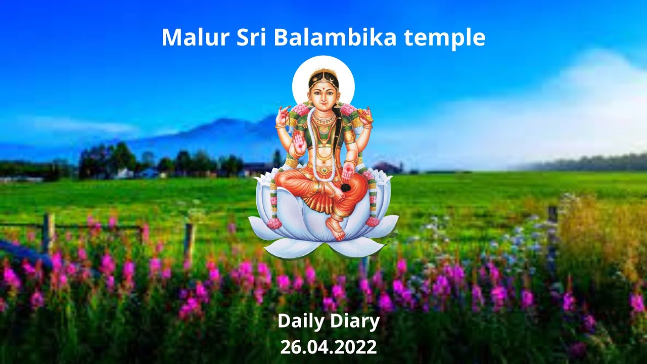 Daily Diary / 26 04 2022 / Malur Sri Balambika Temple - YouTube