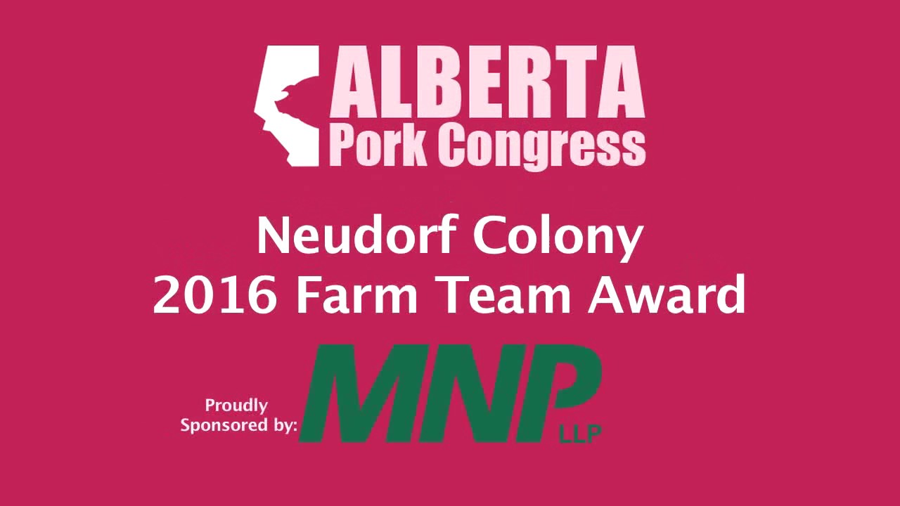 2016 Farm Team Award: Neudorf Colony - YouTube