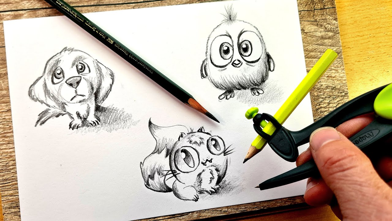 How to Draw with Compass (funny and cute Animals) - YouTube