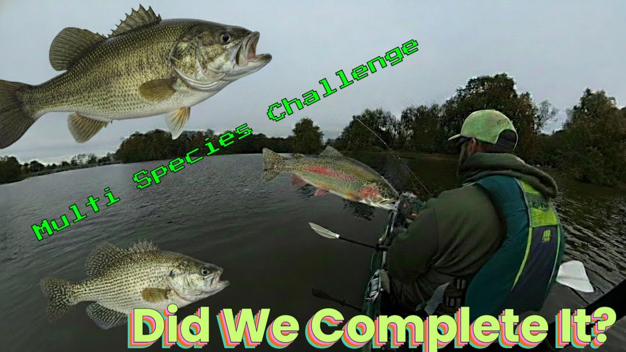 The Hidden World of Multi Species Fishing - YouTube