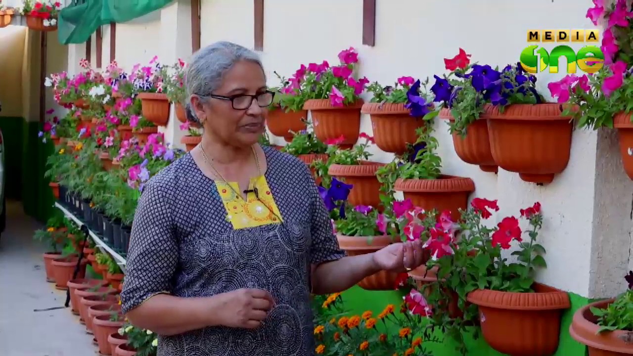 Weekend Arabia | Organic farming in the Qatar a growing trend (Epi197 ...