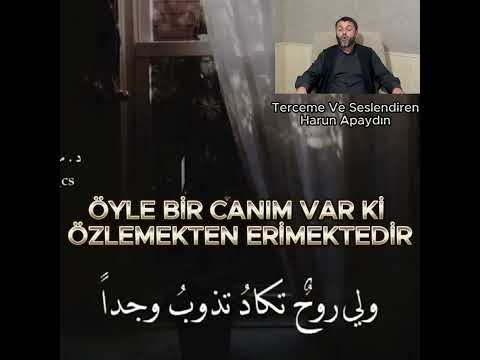 Arapça Türkçe yazılı Şiir Tercemeler serisi 1 Şair: Dr Mâcid Abdullah Şiiri Okuyan Harun Apaydın