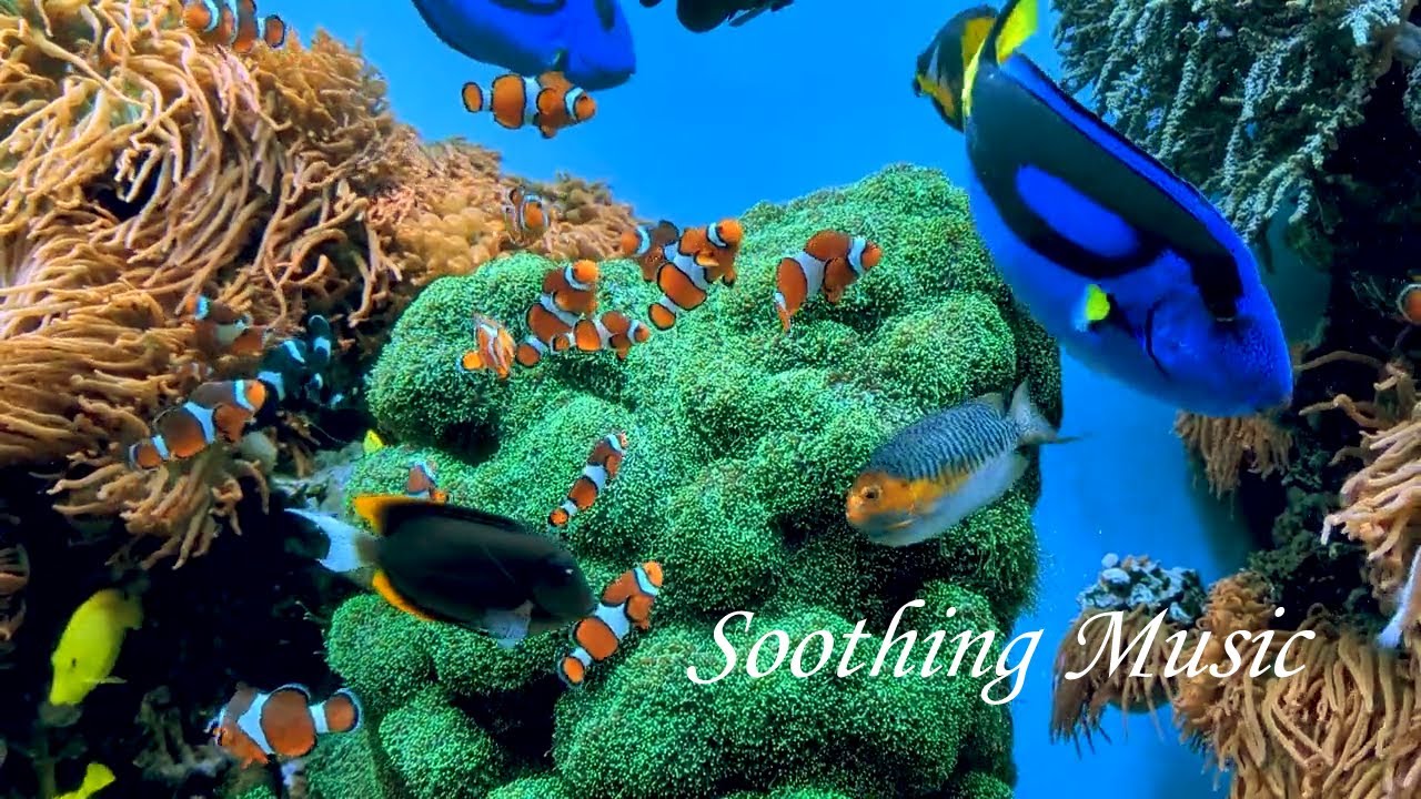 "soothing music" Music that gives you peace of mind - For work and ...