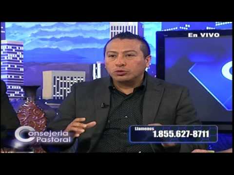 ALMAVISION HISPANIC NETWORK LOS ANGELES CA Live Stream - YouTube