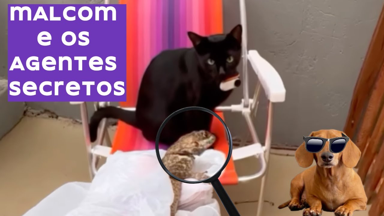 Malcom e Os Agentes Secretos. (Ep 01 - 05) - YouTube