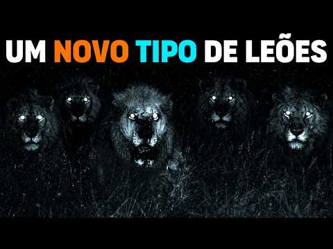 🚨 NÃO SÃO NORMAIS! O bando de LEÕES MAIS TEMIDOS da África SURGIU - Rongai Rockers