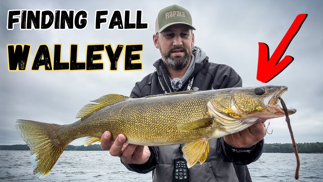 3 FALL Walleye Locations (& How to Catch Them There!) - YouTube
