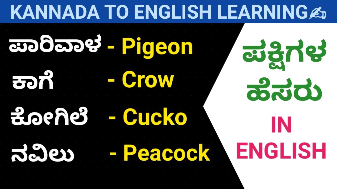 ಪಕ್ಷಿಗಳ ಹೆಸರು In English. Kannada to English learning. #basicenglish # ...