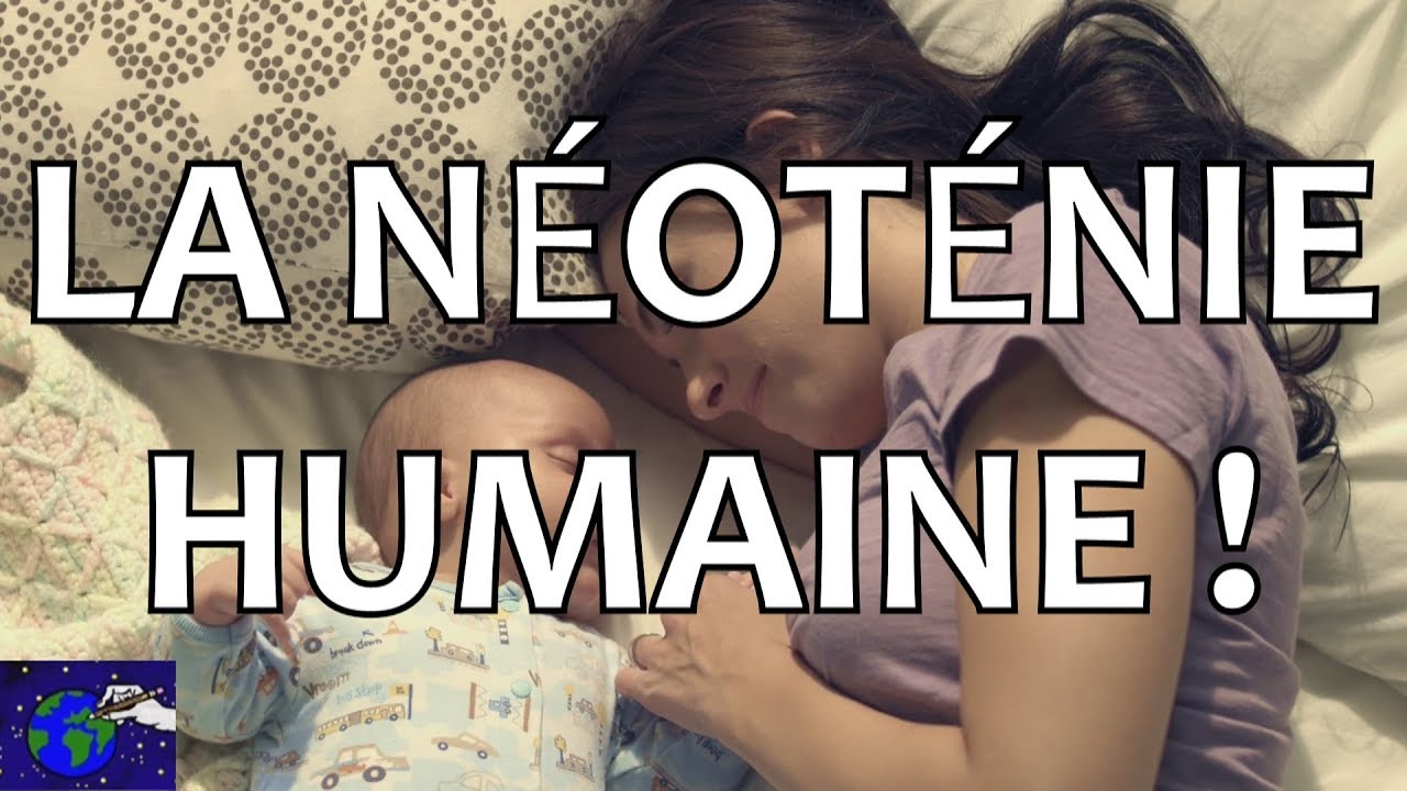 L'HOMME EST UN ANIMAL NEOTENIQUE ! #néoténie - YouTube