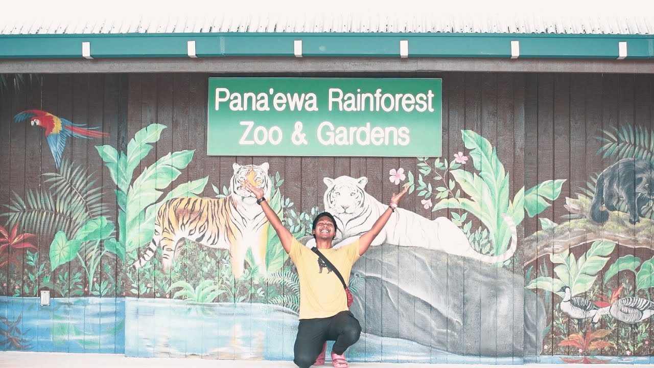 Visiting The Panaʻewa Rainforest Zoo | 3 of 30 - YouTube