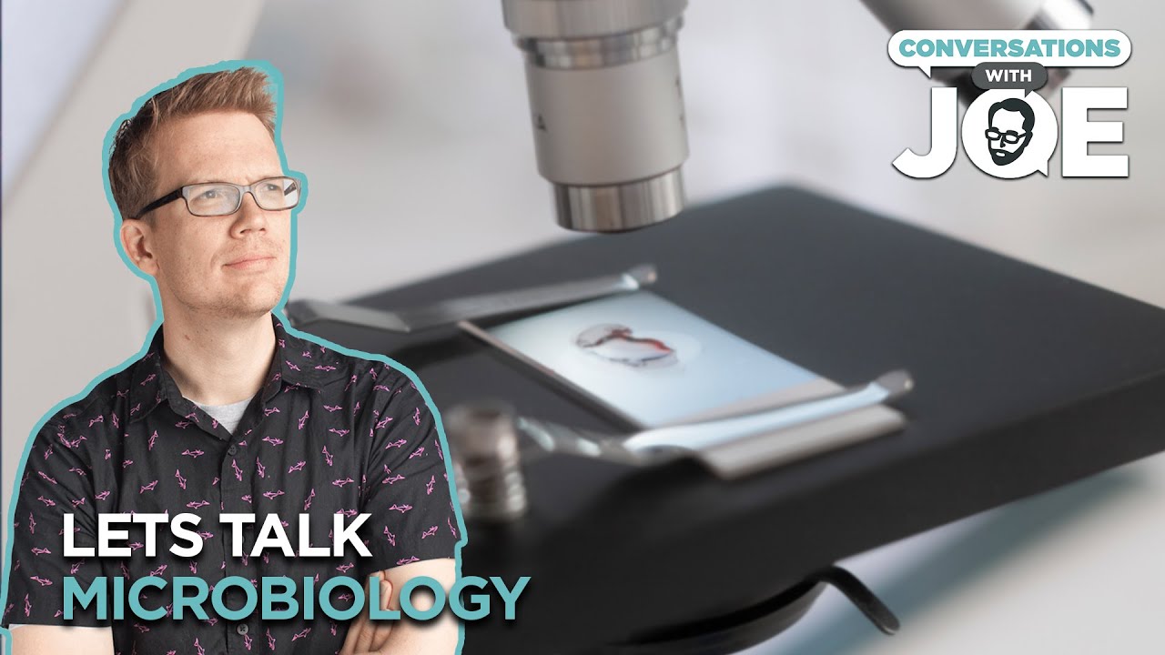 Hank Green's Journey To The Microcosmos | Conversations With Joe Clip ...