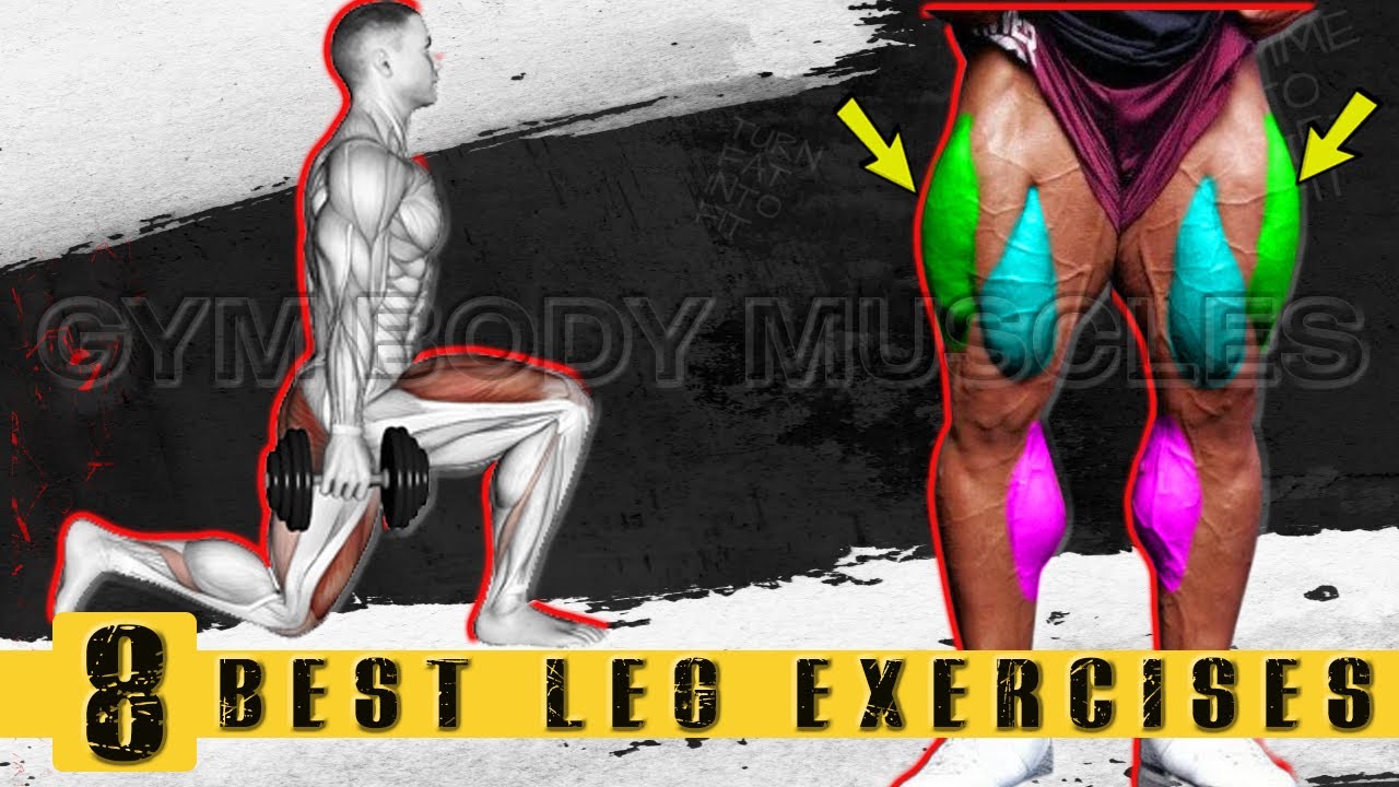 8 Best Leg Exercises for Mass - Gym Body Muscles - YouTube