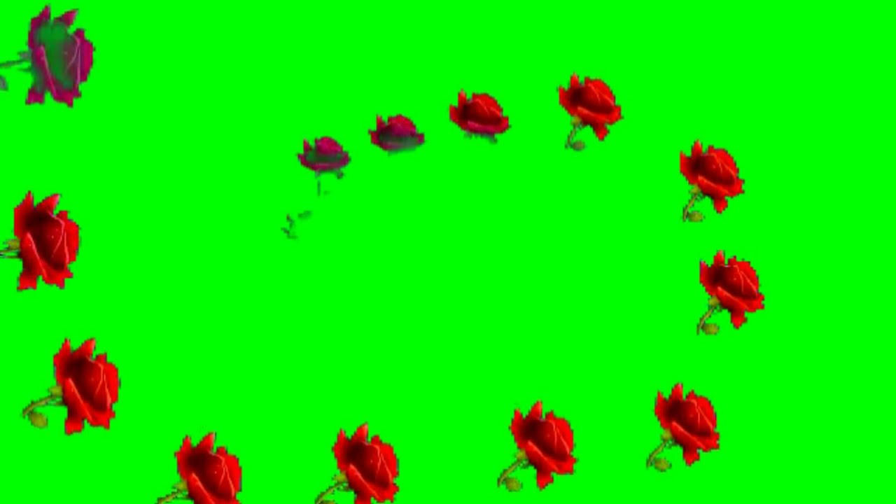 Rose green screen video effect backgroundHD - YouTube