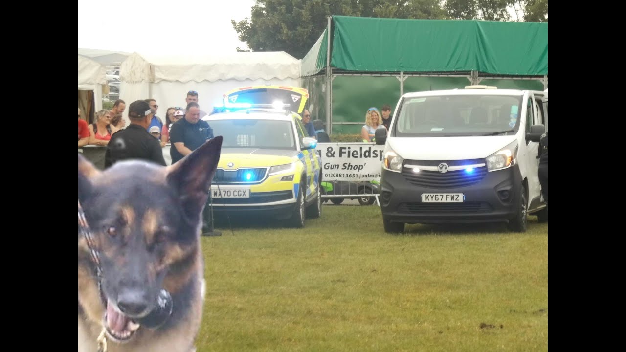 Police dog demo with unmarked police van and 2 police marked units ...