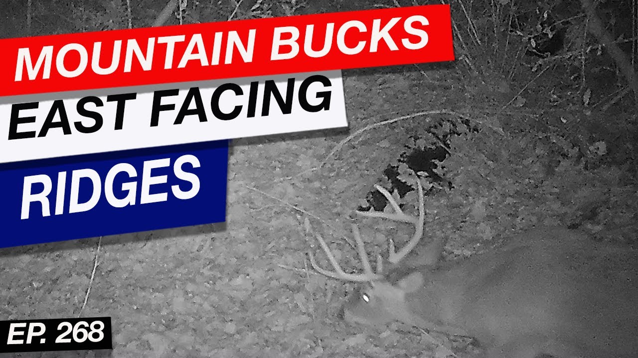 Mountain Bucks and Hunting Whitetails In The Plains | Nathan Killen ...