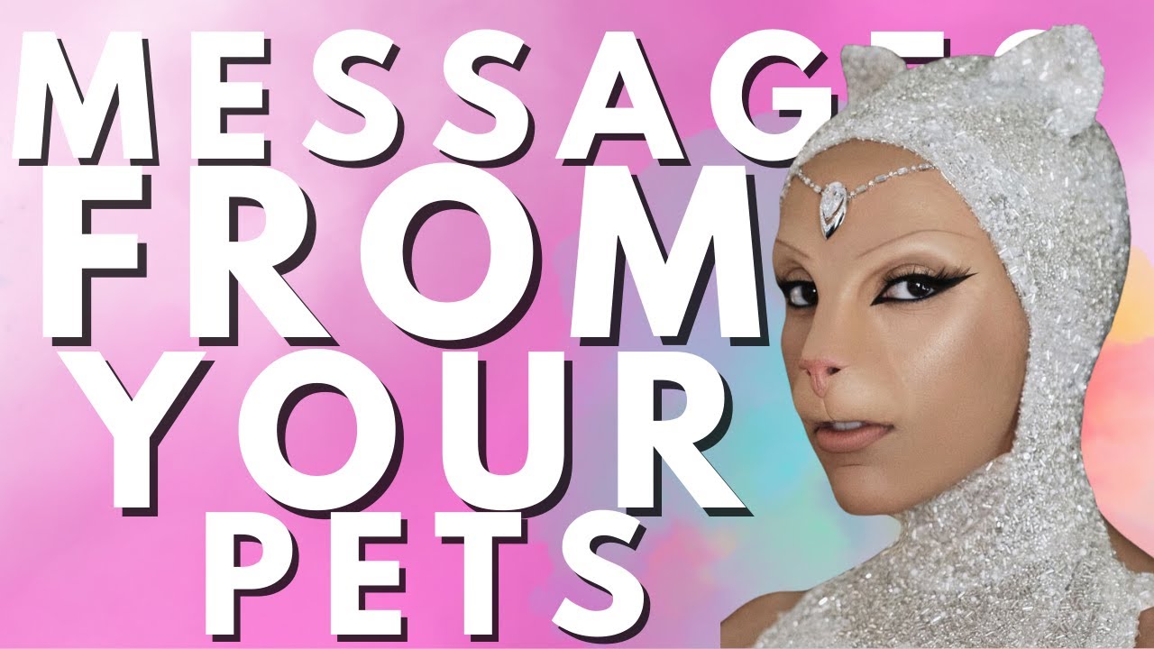 PICK A CARD MESSAGES FROM YOUR PET WHAT DOES YOUR PET WHAT TO TELL YOU ...