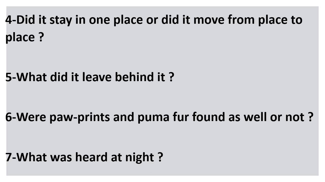 A Puma at Large questions! - YouTube