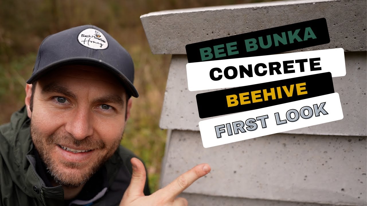 Concrete Bee Bunka Beehive - First Look - YouTube