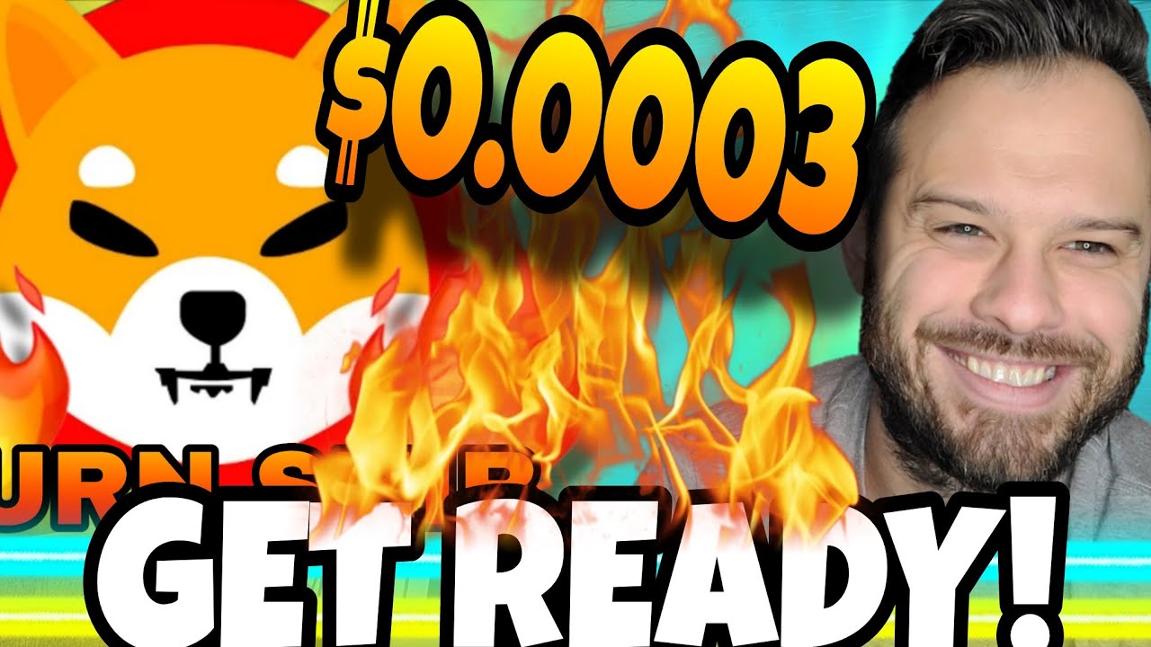 Shiba Inu Coin | Lucie Says This Will Burn More SHIB And Send The Price ...