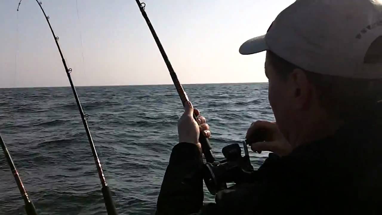 12 kg lax simrishamn - YouTube