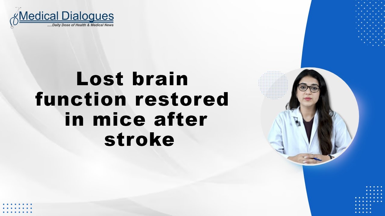 Lost brain function restored in mice after stroke - YouTube