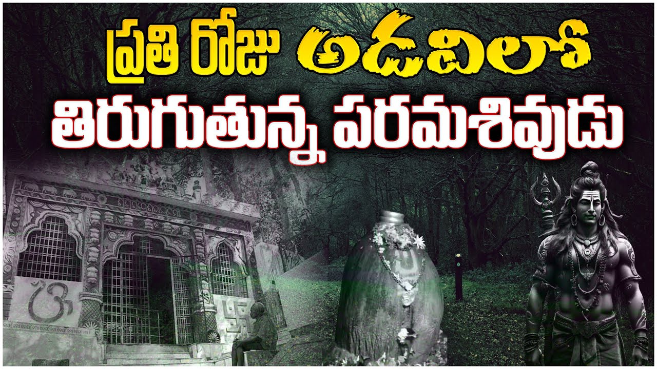 ప్రతి రోజు అడవిలో తిరుగుతున్న శివుడు | Lord Shiva Miracles Shiva ...