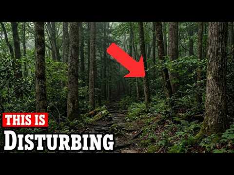 11 Disturbing Park Ranger Encounters in the Appalachian Mountains You've Never Heard