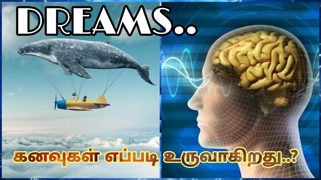 What is dreams..? | Dreams explanation.. - YouTube