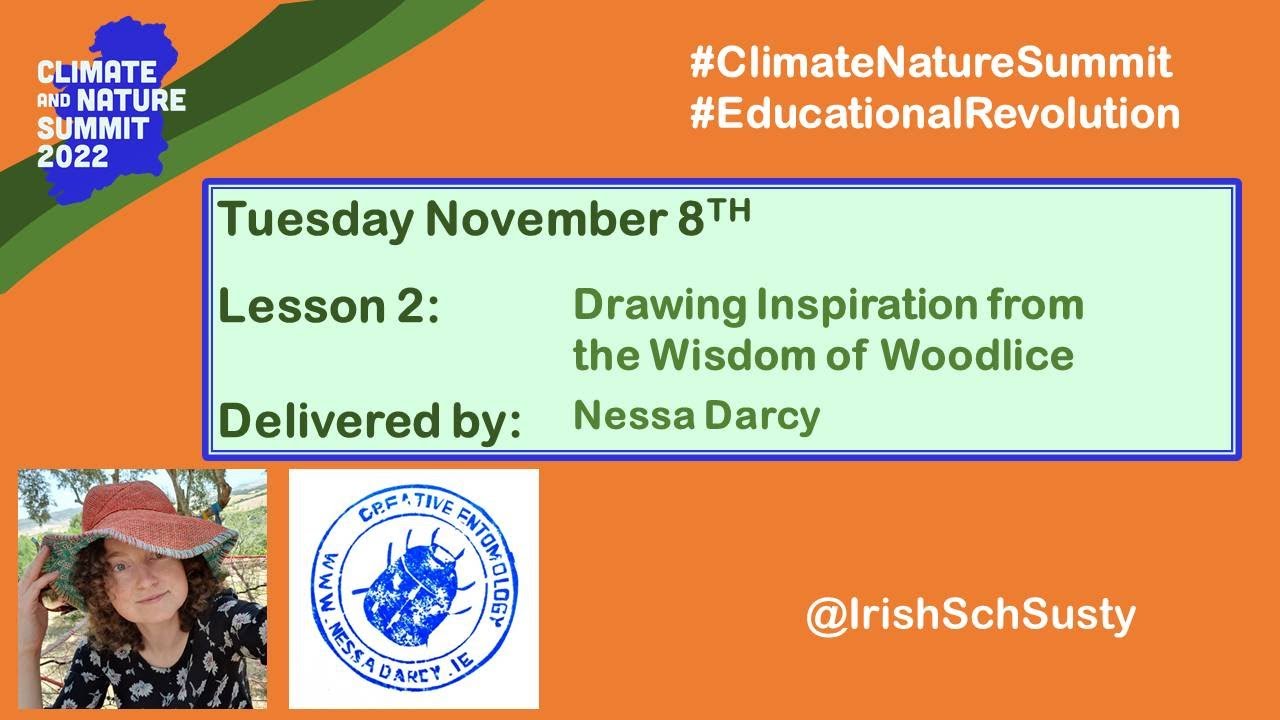 Drawing Inspiration from the Wisdom of Woodlice - YouTube