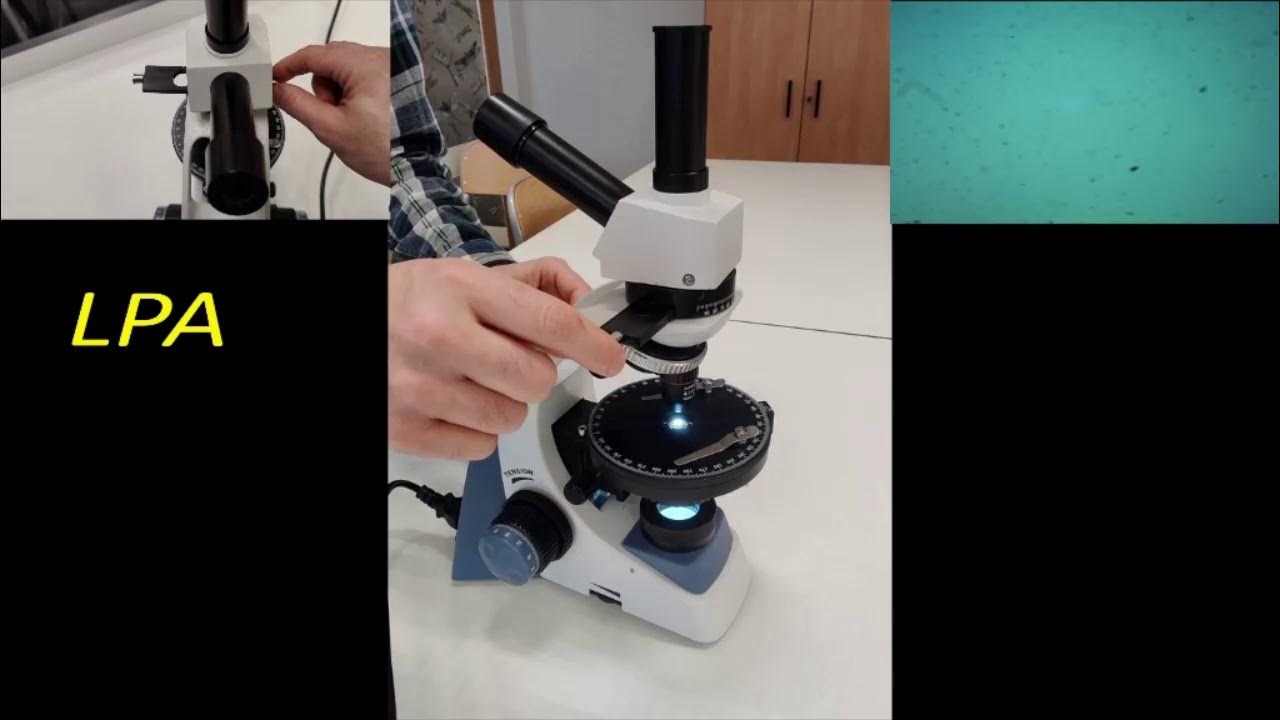 Utilisation microscope polarisant - Lycée Charlemagne - YouTube