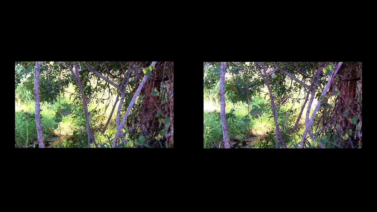 3D SBS VR headset demo1 (dome mode) - YouTube