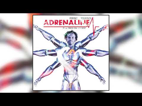 Adrenaline  -  Prince Mshindi ( Official Audio )