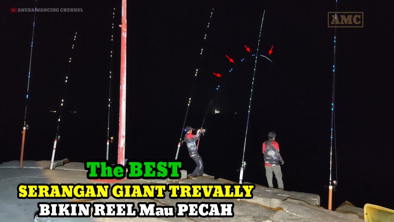 Mancing Ikan Besar Joki Sampai Banjir Keringat || Reel Menjerit Kuat ...