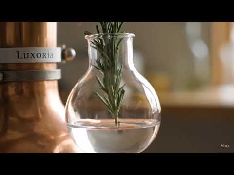 Luxoria Rosemary Water | Traditional Steam Distillation for Beauty & Wellness 🌿