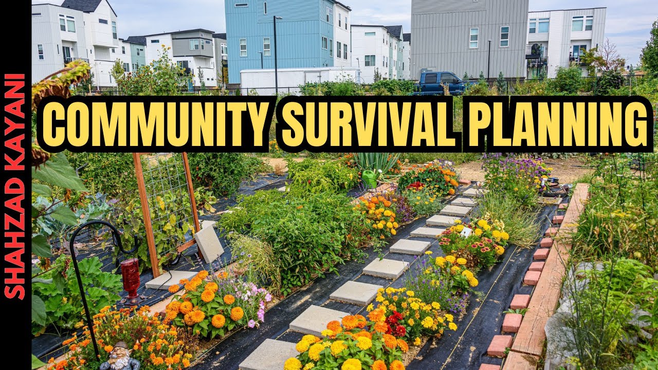Community Survival After the Collapse – How to Organize, Defend, and ...