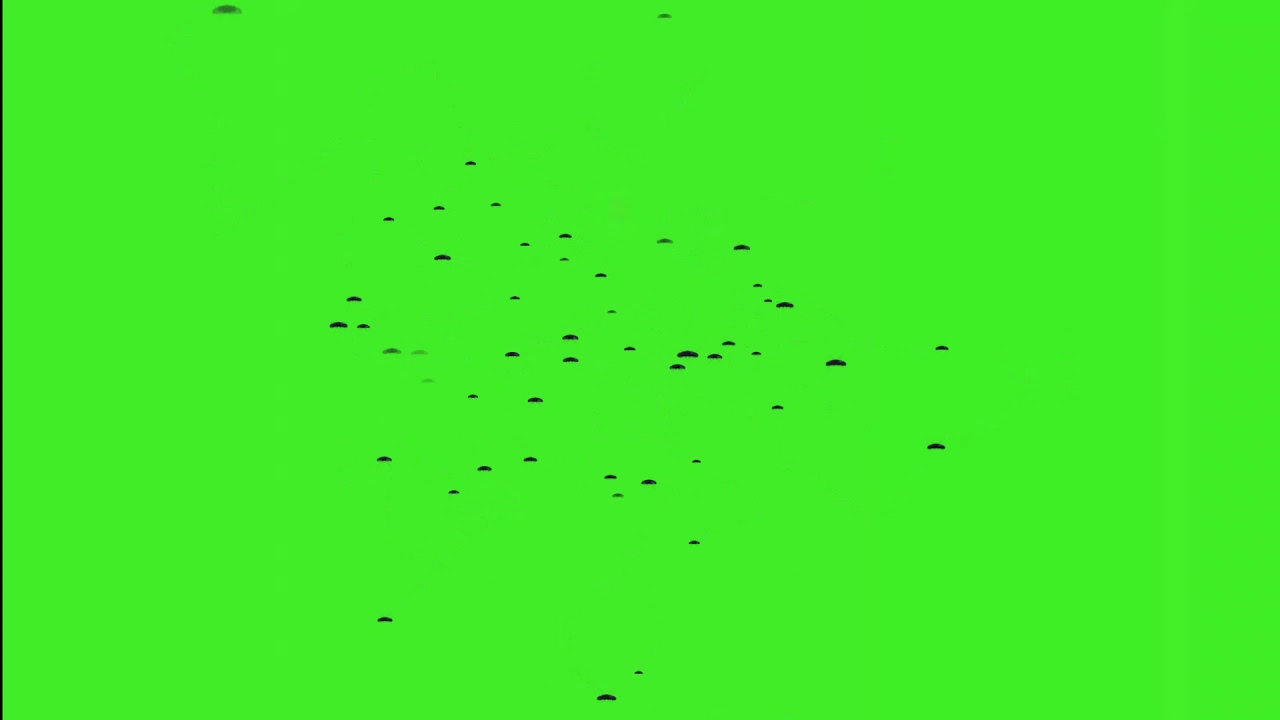 Flies Effect Video In Green Screen - YouTube