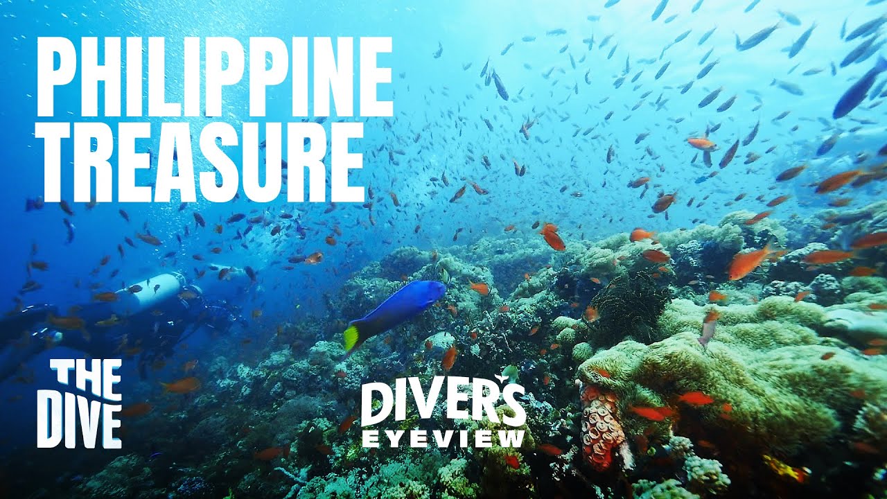 A Visual Feast from Verde Island Passage - Diver's Eye View #TheDivePH ...